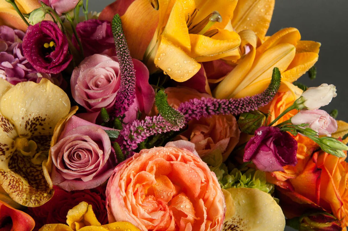 Carousel – Flower delivery: New York City & Westchester, Manhattan ...